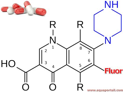 Fluoroquinolone Structure