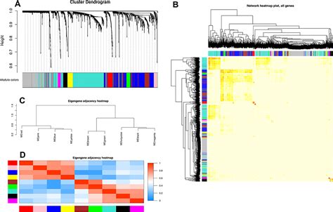 Weighted Gene Coexpression Network Analysis Identifies Specific Module