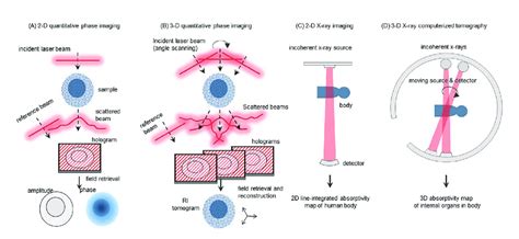 Overview Of 2d And 3d Imaging The Schematic Of A 2d Quantitative