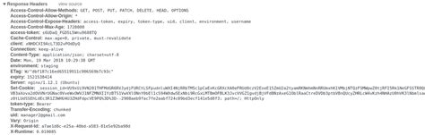 ruby on rails nginx responds 200 ok while no data