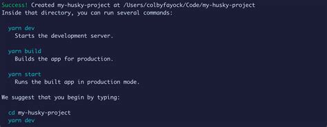 automate your code tasks by adding git hooks with husky and prettier