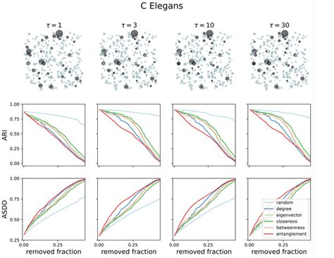 Functional Dismantling Of C Elegans Neural System The Neural Network