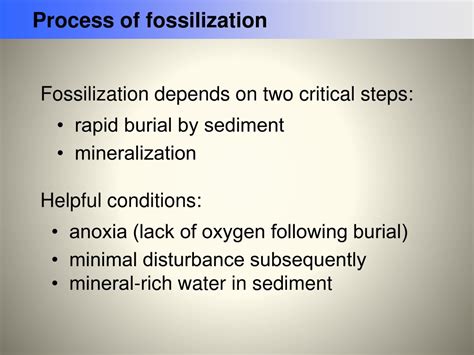 Ppt Fossilization And Fossils Powerpoint Presentation Free Download