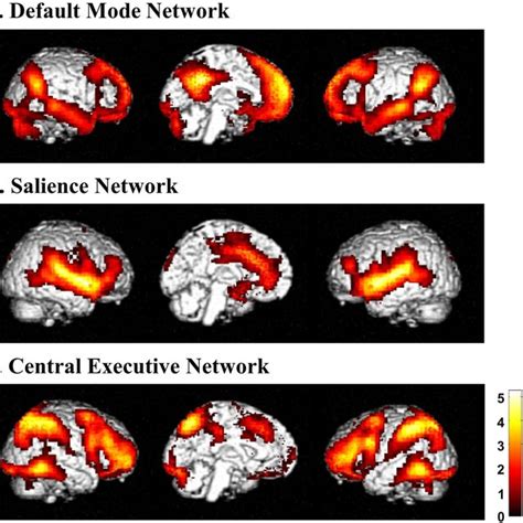 Average Functional Connectivity Maps Across 99 Participants Computed