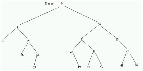 csc 207 lab exercise on more binary search trees