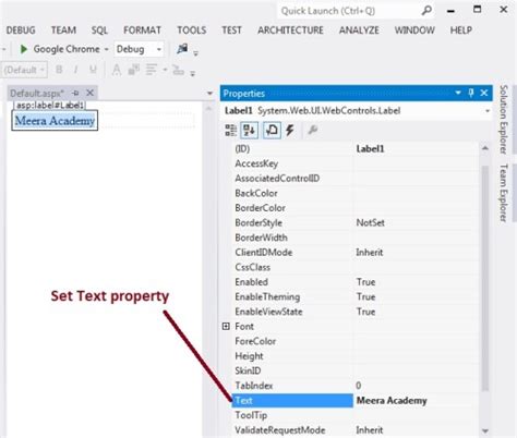 label control in asp with an example