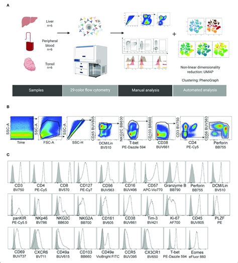 Multicolor Flow Cytometry Panel To Identify M2 Macrop