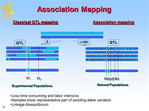 Mapping And Applications Of Linkage Disequilibrium And Association Ma…
