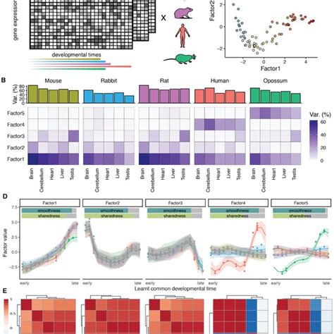 Application To Spatial Transcriptomics Data A Recovered Factor