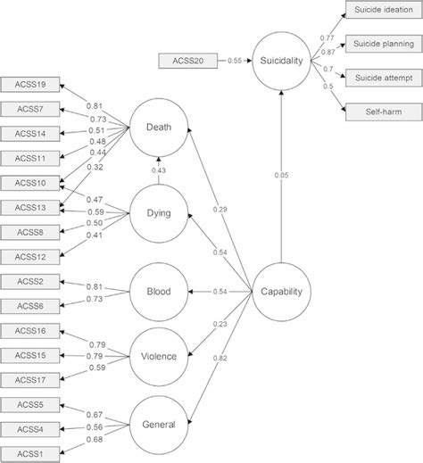 latent variable model showing the relationship between acss factors