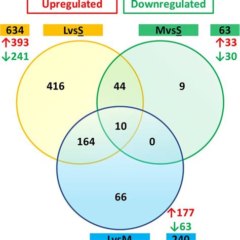 Venn Diagram With The Numbers Of Differentially Expressed Transcripts