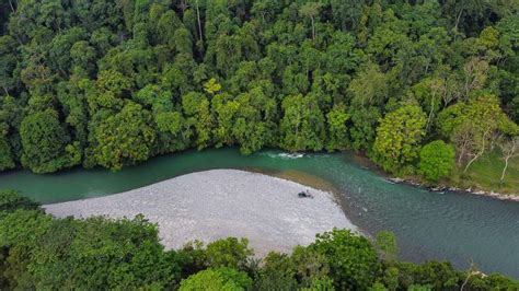 6 Aktivitas Seru Ekowisata Tangkahan Surga Tersembunyi Di Langkat
