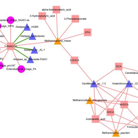 Nteraction Network Of Metagenomic And Metabolomic Features For Mice
