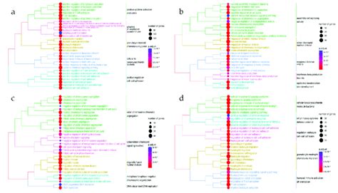 Enriched Reactome Pathways Of Down Regulated Genes In A Ibd B Pso