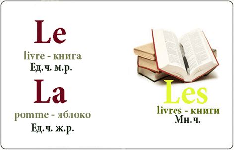Артикли во французском языке всё как обычно и одна особенность