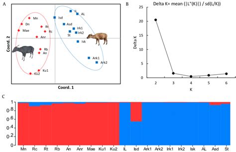Genetic Structure And Admixture Analysis In Anoa Based On 13