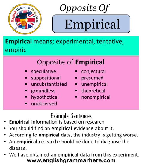 Empirical Evidence Is The Term Used To Describe Ali Has Rocha