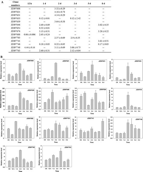 Verification Of Microarray Results By Real Time Pcr A Expression