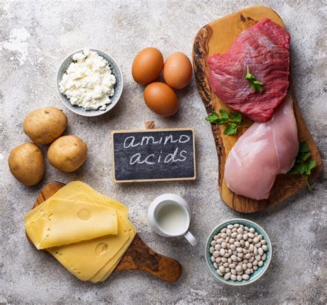 Los Aminoácidos Esenciales Qué Son Y Dónde Se Encuentran Salud Ideal