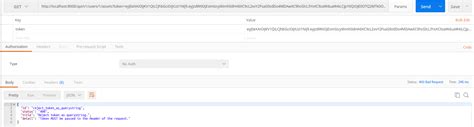 prevent laravel api from processing the token if it comes in the url as