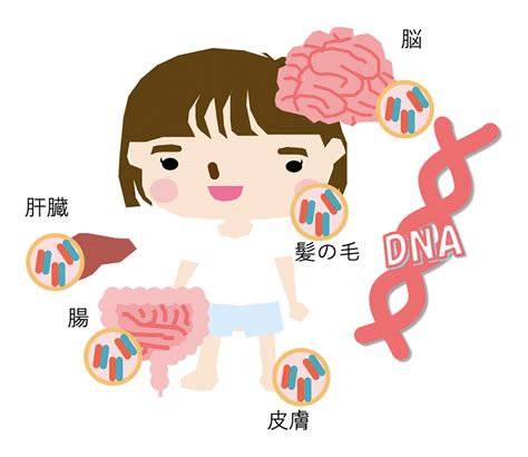 遺伝子についてわかりやすく解説 おしえてdnaチップ研究所！ 株式会社dnaチップ研究所