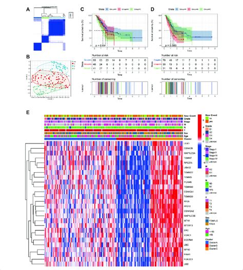 Identify Different Mitophagy Subtypes In Tcga Paad A Consensus