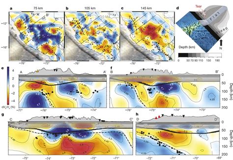 Three Dimensional Model Of The Structure Of Shear Wave Velocities