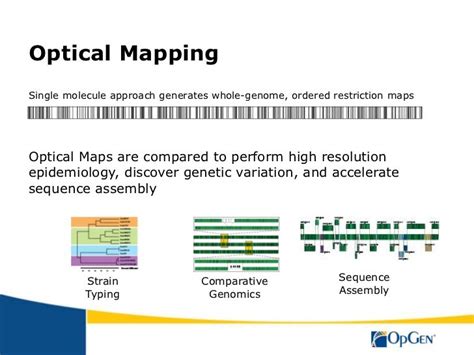 How Can Optical Mapping Accelerate My Research