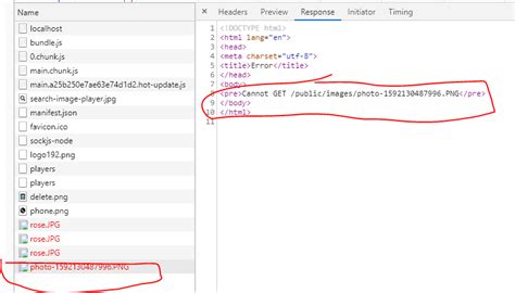reactjs unable to get image from public images folder in react hooks
