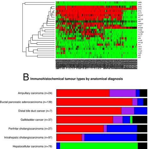 A Semi Supervised Hierarchical Cluster Analysis And Associated