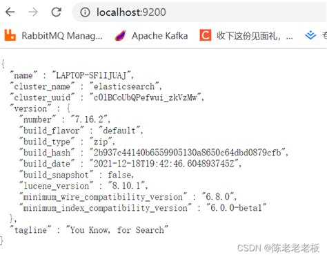 【精选】《springboot篇》16 springboot整合elasticsearch csdn博客