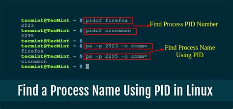 how to find a process name using pid number in linux