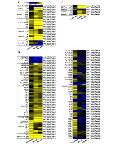 Heat Map Representation Of The Genes Expression Patterns A The
