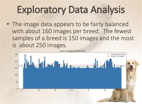 6 interesting data science project ideas and examples springboard blog