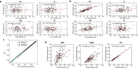 Figure S10 Correlation In Cell Cycle Phase Durations And Its Origin