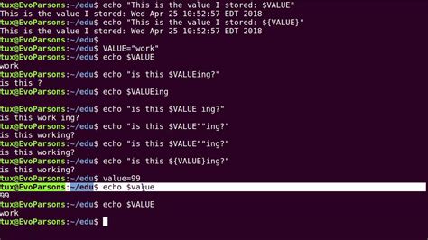 m02t3 1 intro to linux bash variables youtube