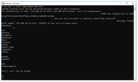 using ssh exe from wsl does not work properly · issue 990