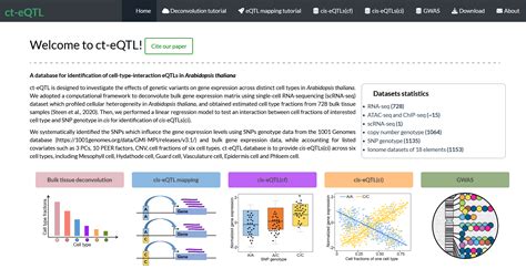 Github Jasonxu0109 Ct Eqtl Ct Eqtl A Database For Identification Of