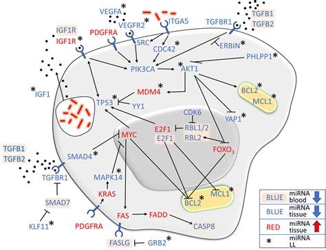 Frontiers Mirnome Expression Analysis Reveals New Players On Leprosy