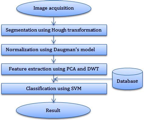 a fast iris recognition system through optimum feature extraction [peerj]