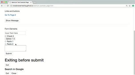 clicking radio buttons how to intermediate selenium webdriver