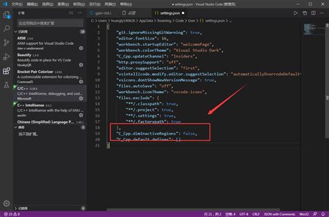 vscode的 ifdef区域变暗处理 代码天地