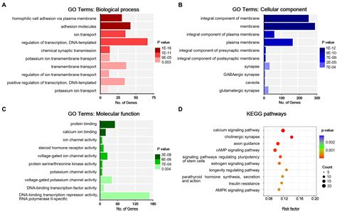 Frontiers Transcriptomic And Proteomic Profiling Of The Anterior