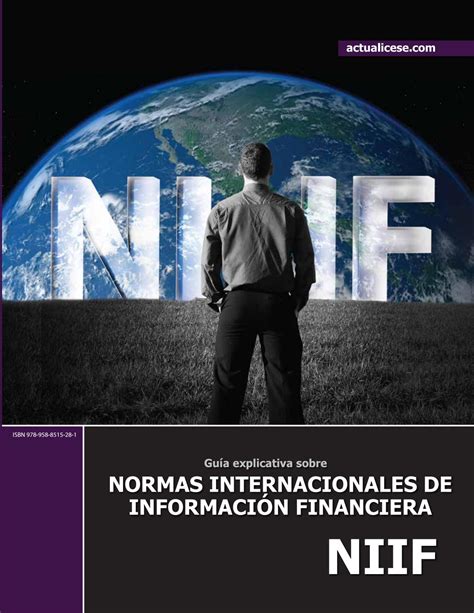 Guia Normas Internacionales De Informacion Financiera By