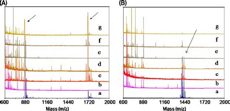 Maldi Tof Ms Analysis Of Samples Extracted From Whole Cell Bacteria