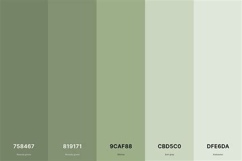 7 Beautiful Sage Green Color Palettes Hex Codes Included Porn Sex Picture