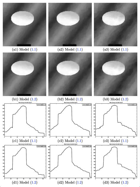 Numerical Results By Using The Models 1 And 2 To Solve The Noisy