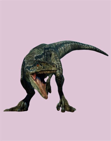 Velociraptor Blue Render By Bigonezhau Wu31 On Deviantart