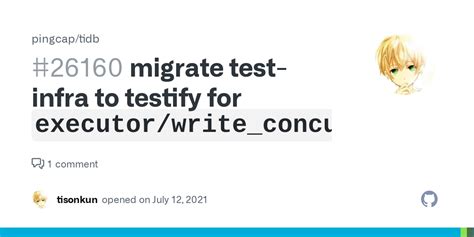 migrate test infra to testify for `executor write concurrent test go