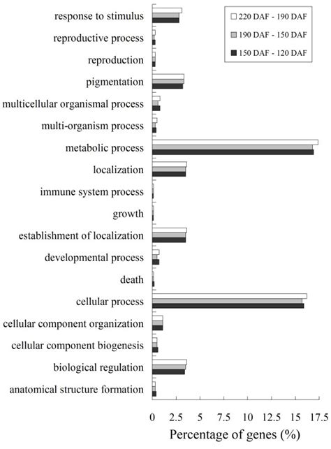 Functional Categorization Of Genes Differentially Expressed During